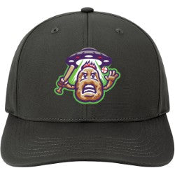 Space Potatoes Collection – New Hampshire Fisher Cats